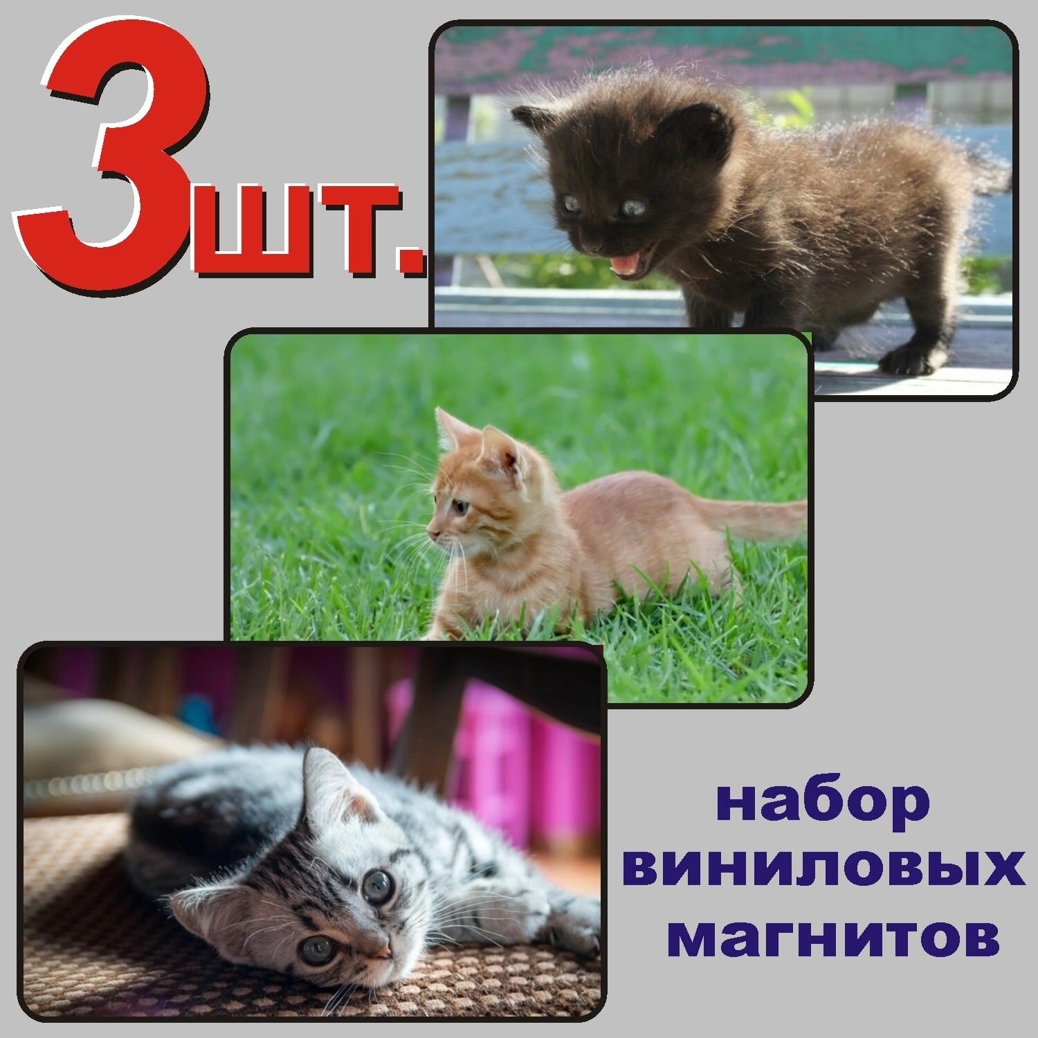 Котики набор магнитов 54x86мм 3 шт.