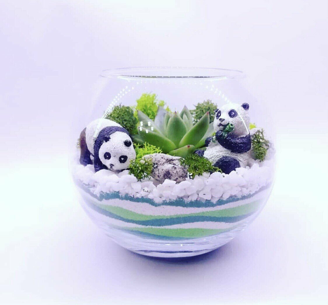Флорариум с пандами / Мини сад / Комнатный цветок