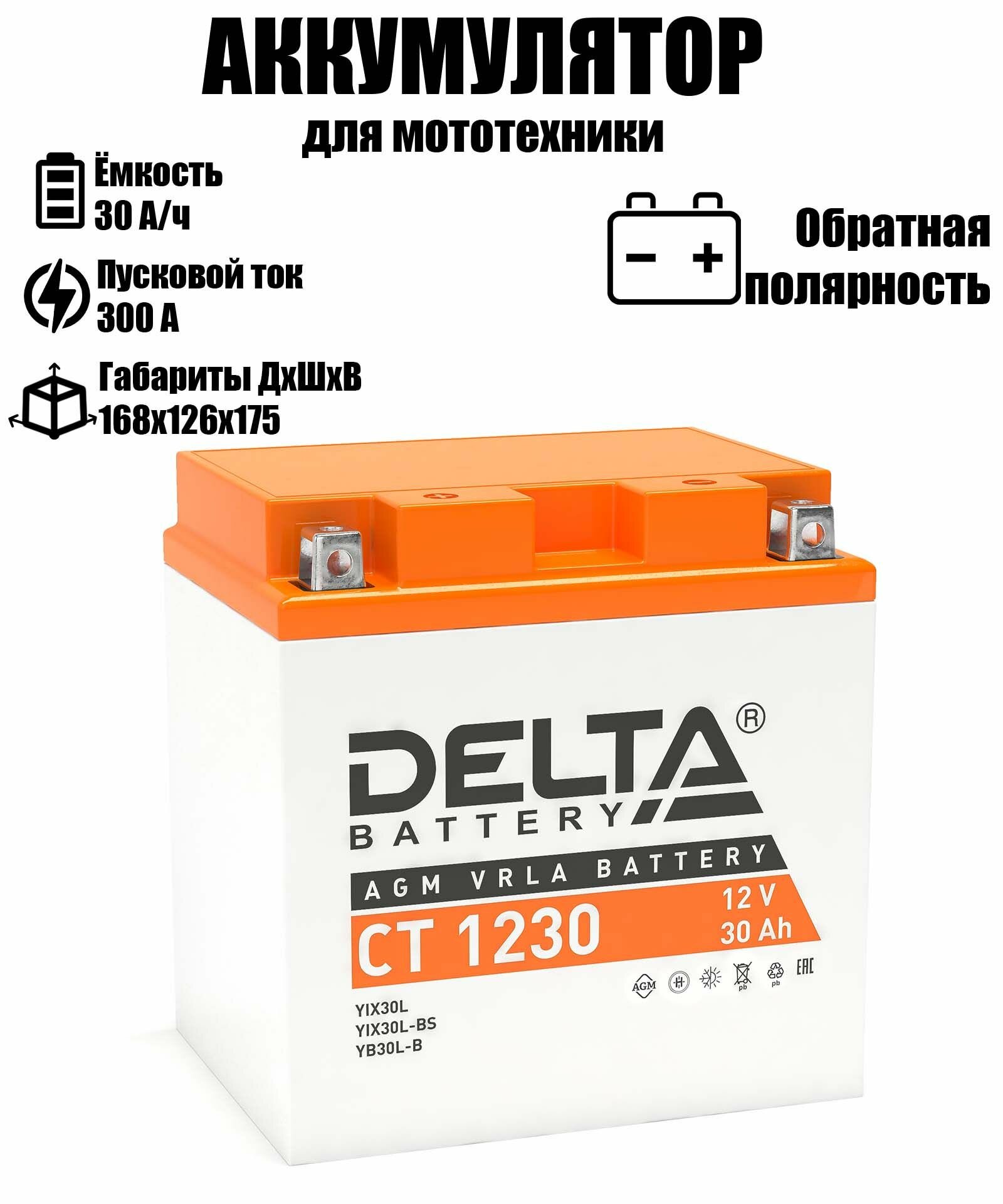 Мото аккумулятор стартерный Delta CT 1230 12В 30Ач прямая полярность 300А, AGM, аккумулятор для мотоцикла, мопеда, скутера, квадроцикла, снегохода, генератора