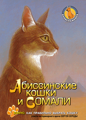 Планета кошек: Абиссинские кошки и Сомали DVD