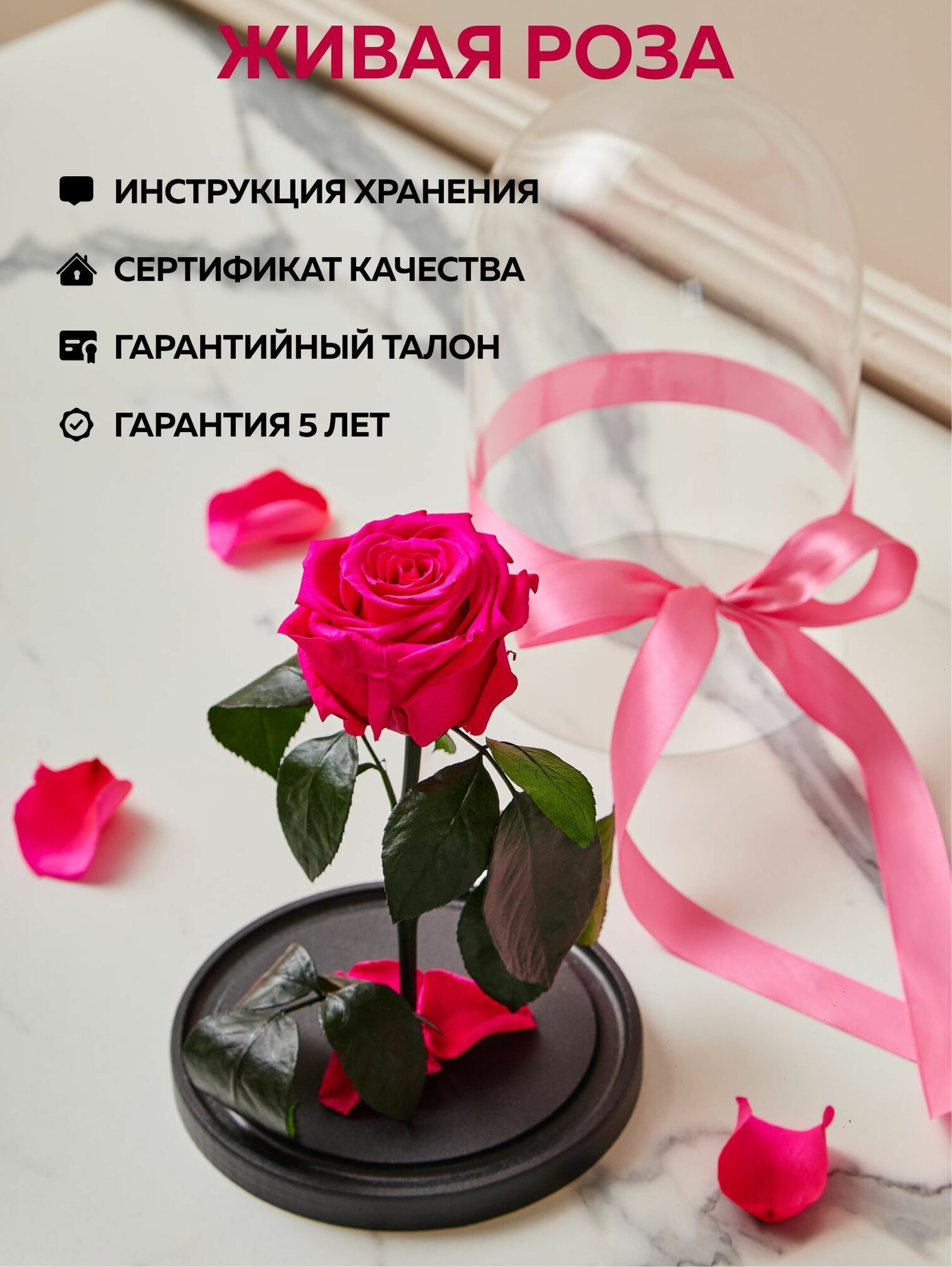 Роза в колбе живая, вечная, стабилизированная "PR-M" 27см, подарок маме, женщине, на 8 марта , на день рождения, цвет: малиновый