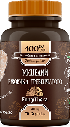 Ежевик гребенчатый мицелий 70 капсул / Hericium erinaceus / Львиная грива / Lions Mane micelium/фунготерапия/ ноотроп ежовик гребенчатый/ FungiThera