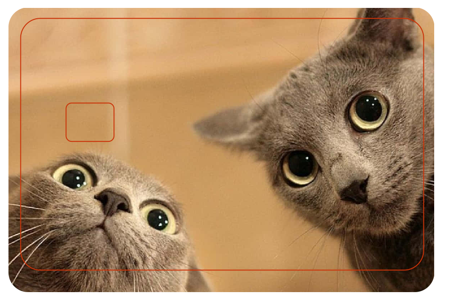 Наклейка на банковскую карту, стикер на карту, Кошки