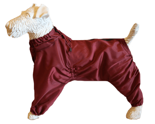 Теплый комбинезон для пуделя малого кобеля, на флисе, повышенной прочности, цвет бордо