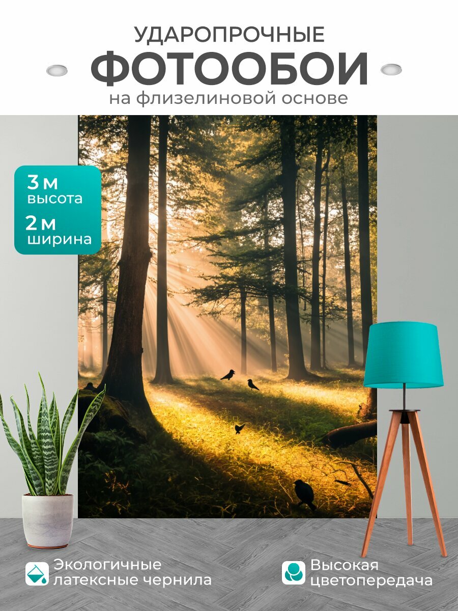 Фотообои моющиеся ударопрочные "Фотообои лес в стиле кинематографический: утренний лес, туман стелется по земле, лучи света проникают сквозь ветви," 200x300 см. флизелиновые на стену