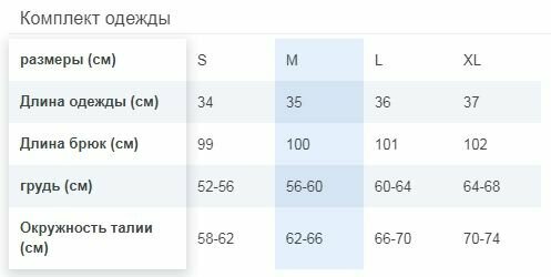 Комплект одежды , размер S A, серый — фото 1
