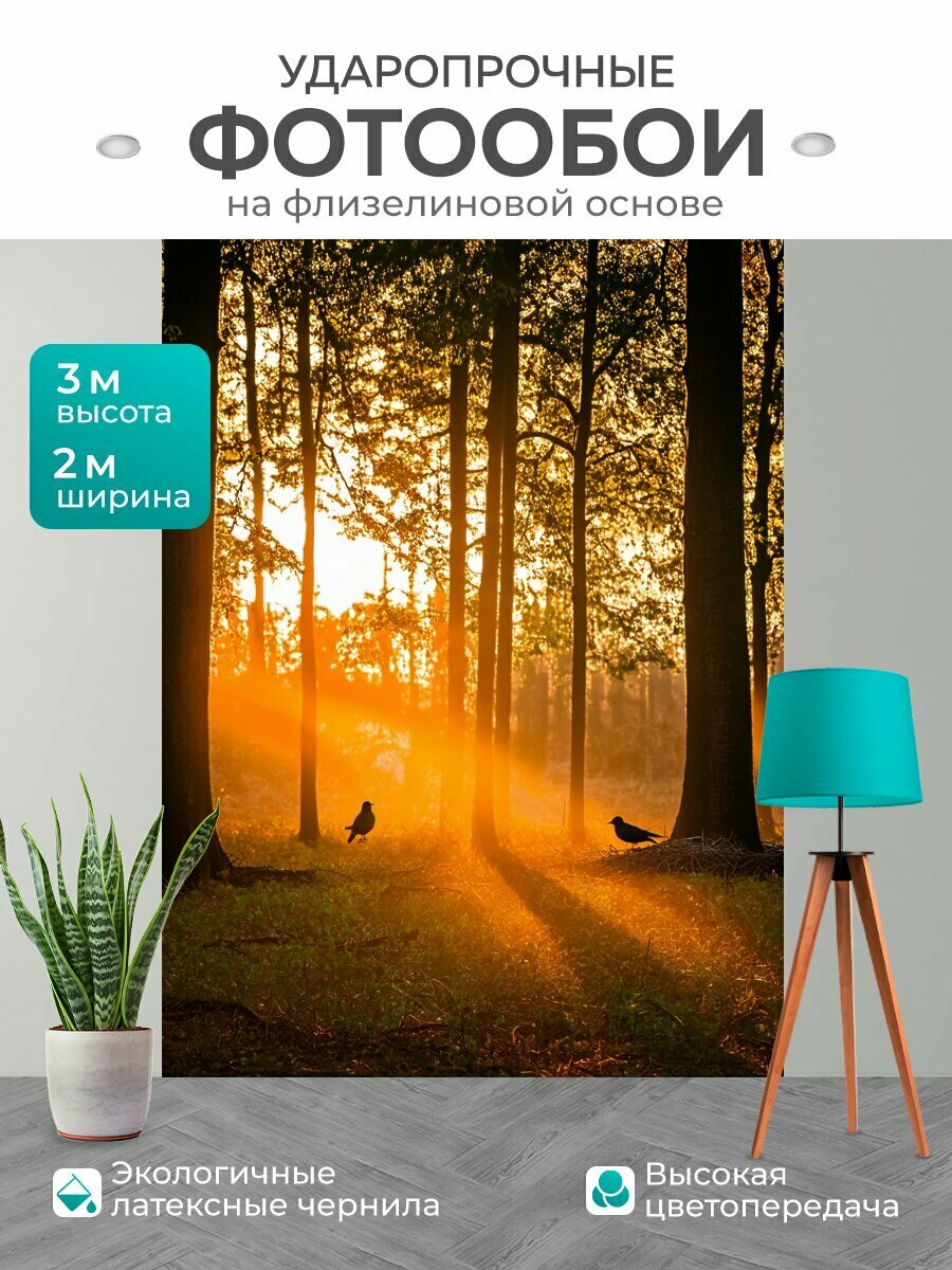 Фотообои моющиеся ударопрочные "Закат в лесу, солнце прорывается сквозь густые деревья, яркие золотые лучи заполняют просветы, птицы возвращаются" 200x300 см. флизелиновые на стену