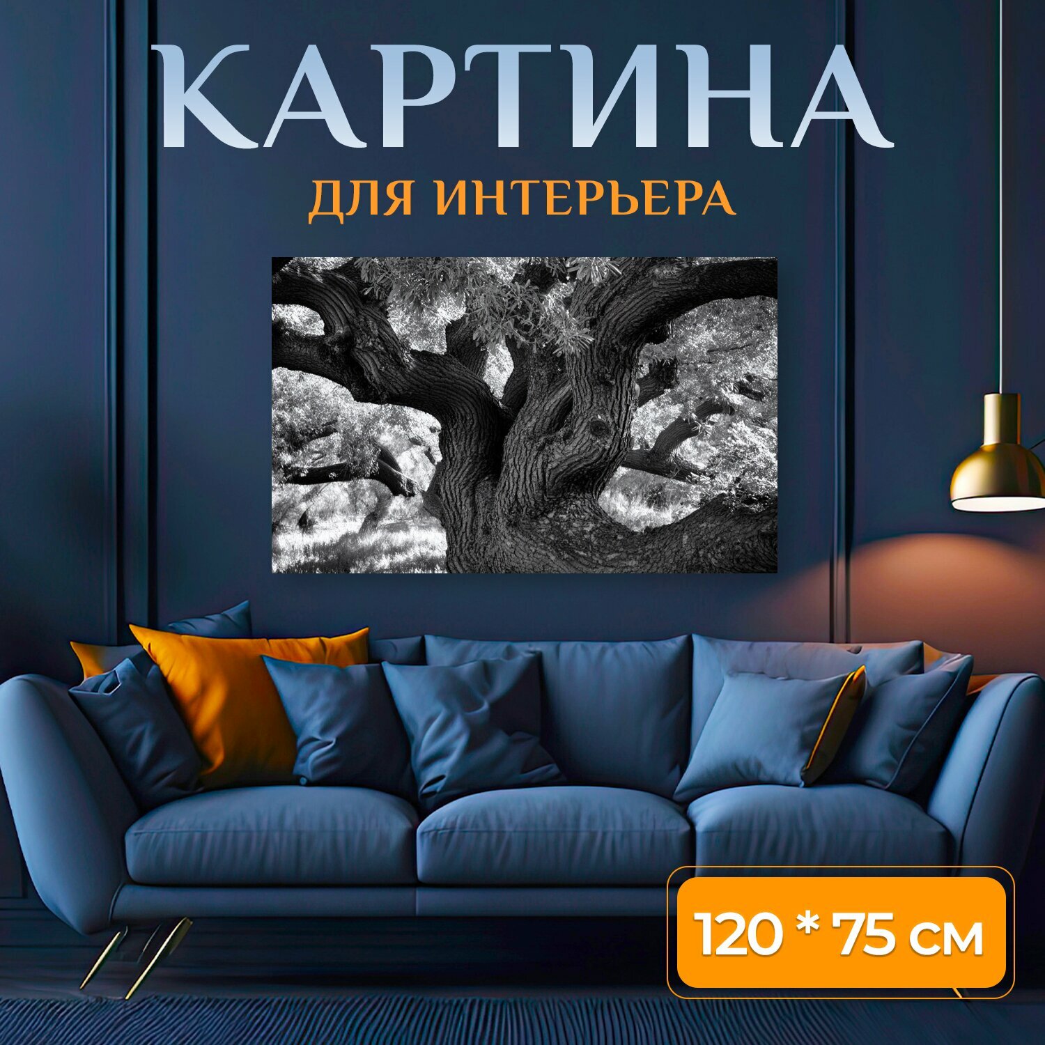 Картина на холсте "Прованс: старинные оливковые деревья с изогнутыми стволами, спрятанные среди зелени. стиль: фотография в черно-белом с." на подрамнике 120х75 см. для интерьера