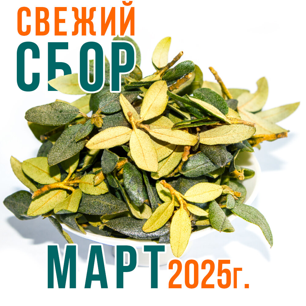 Фиточай Саган Дайля. Свежий Саянский сбор. Насыщенный. 100г.