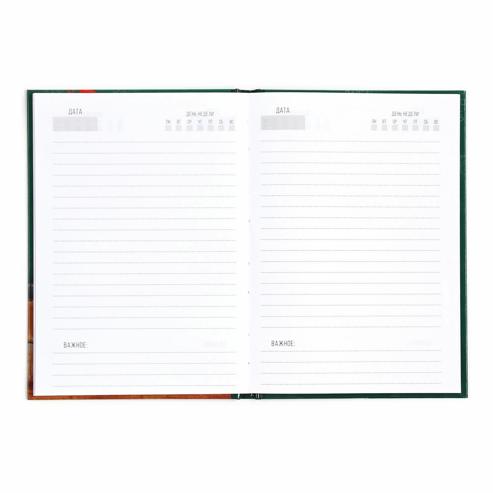 Подарочный набор, ежедневник А5, 80 л, медаль Любимому учителю