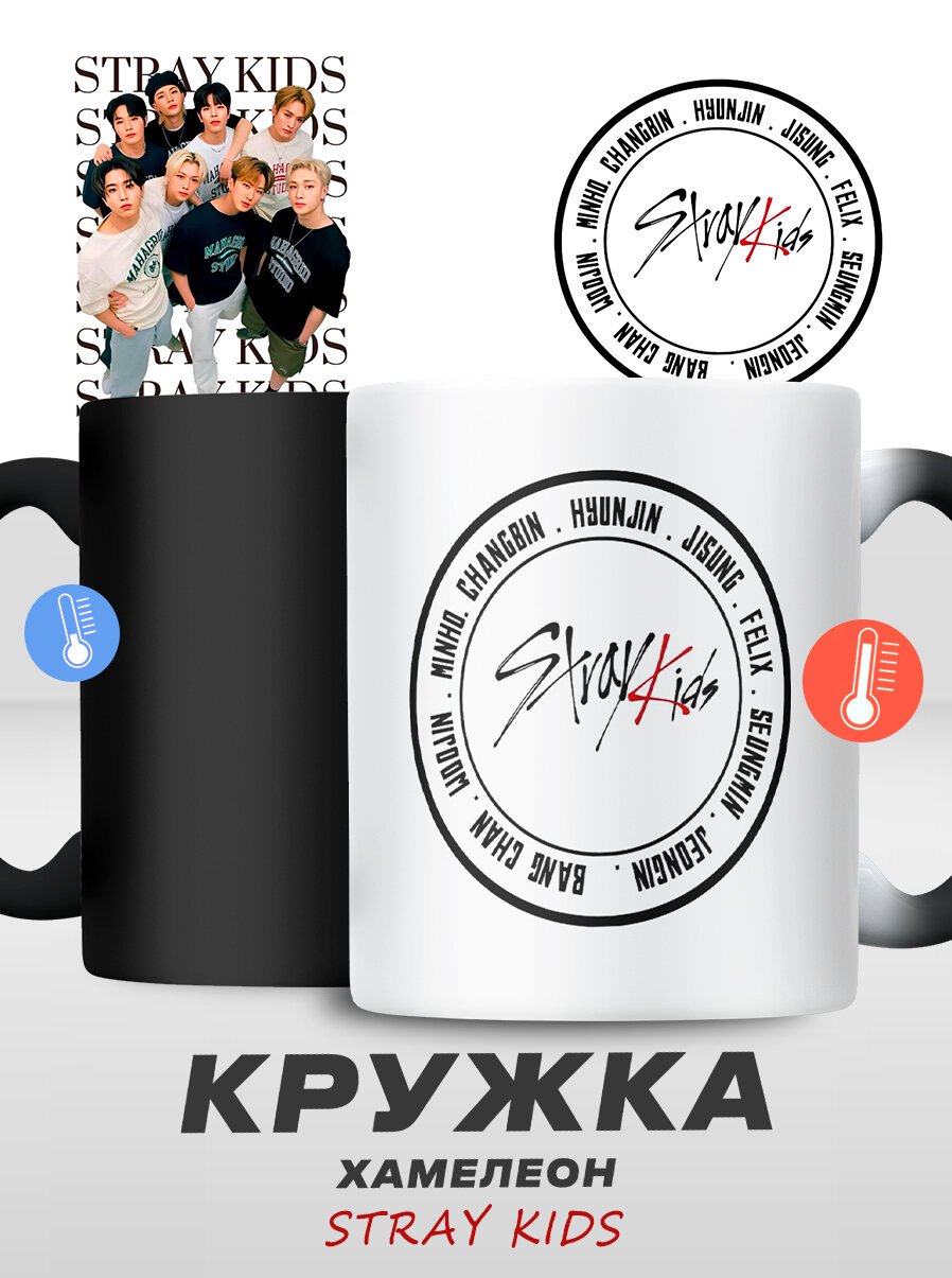 Кружка Stray Kids