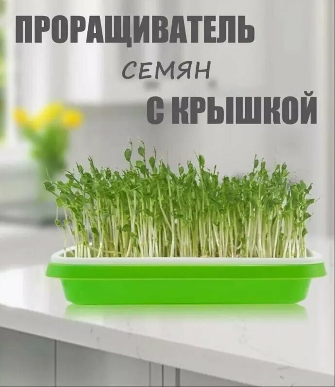 Парник, теплица мини Проращиватель семян и микрозелени с крышкой "лотки для микрозелени" (гидропоника). Увеличенный объём. A 0.32х0.25х0.11м, Пищевой пластик