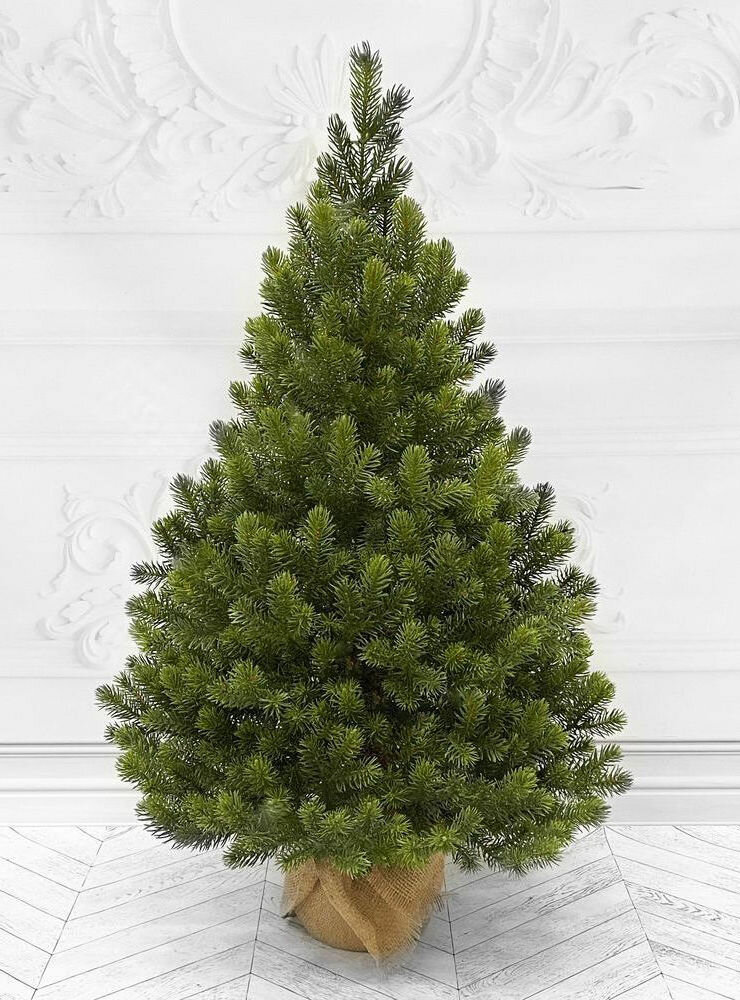 Настольная ель можжевельник в мешочке, литая 100%, 90 см, Triumph Tree 72217