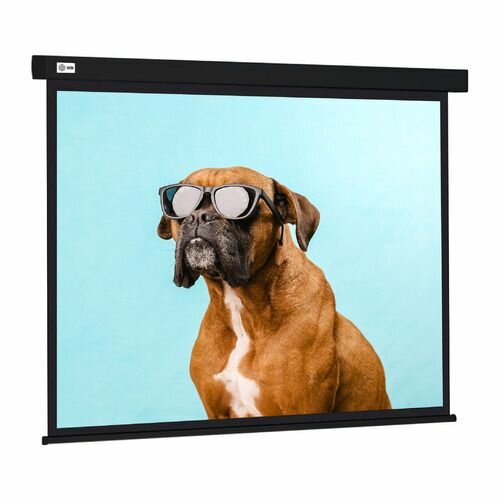 Экран Cactus Wallscreen CS-PSW-183X244-BK, 244х183 см, 4:3, настенно-потолочный черный