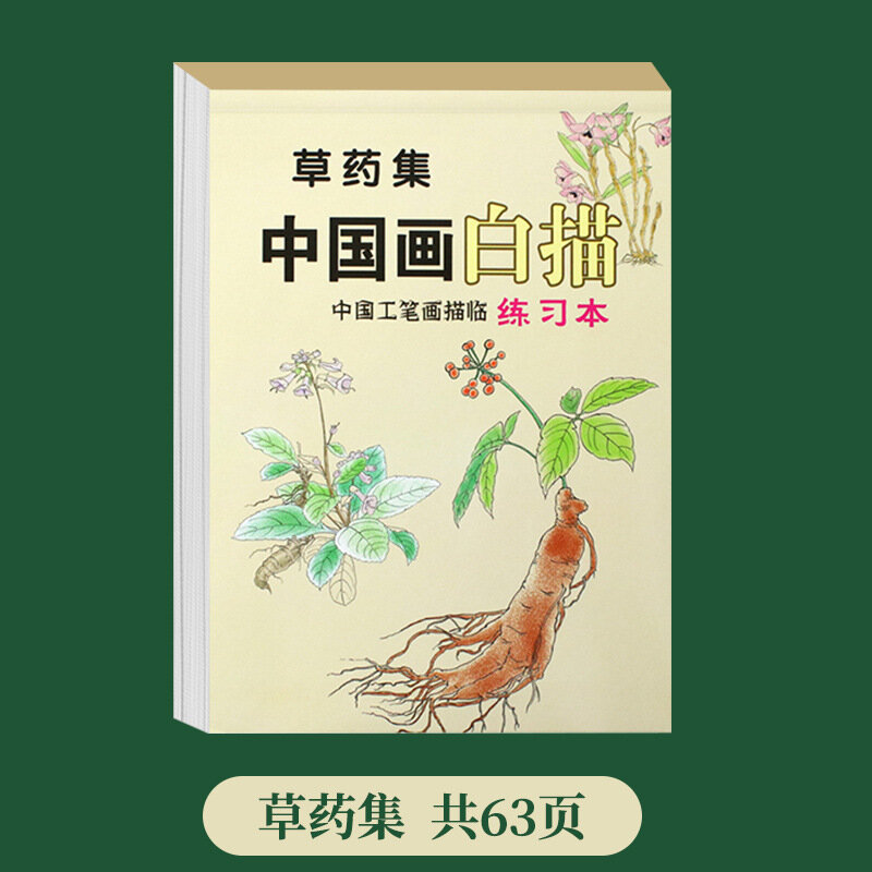 Китайская акварельная книга для рисования: Сборник трав для детей с 50+ иллюстрациями, учебник для начинающих