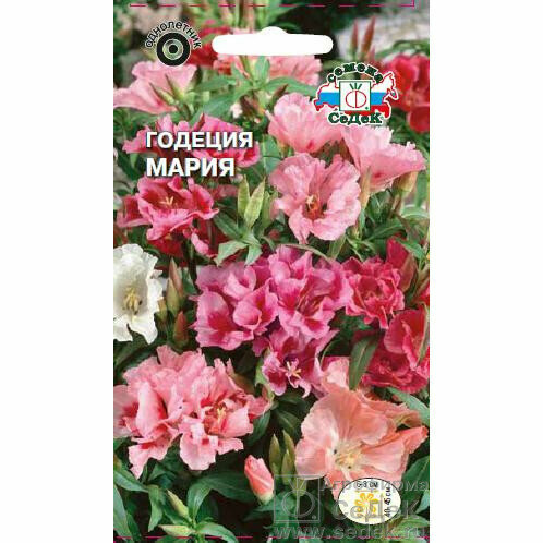 Семена СеДеК Годеция "Мария махровая", однолетние, для солнца, 0,2г
