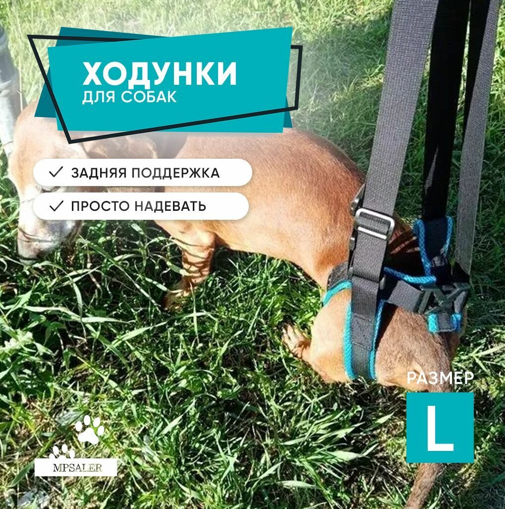 Ходунки для собак, поддержка задних лап пожилых и травмированных собак. Размер L.