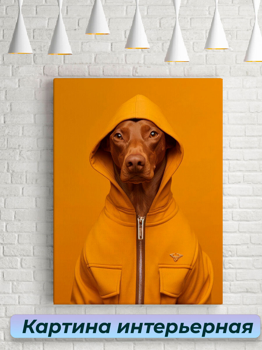 Картины для интерьера 50х70 Собака в капюшоне рыжий пес