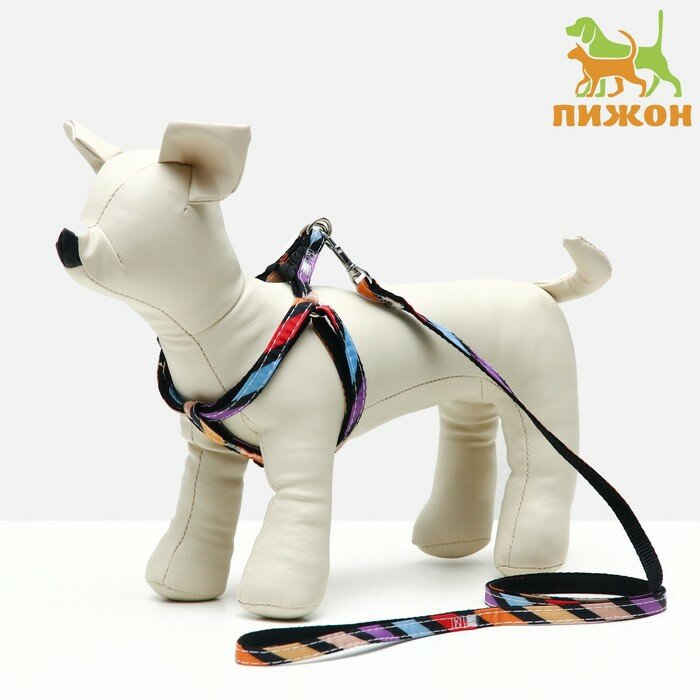 Комплект амуниции двухслойный, S, поводок 120×1 см, ОШ 24-38 ОГ 29-41 см, разноцветные полосы