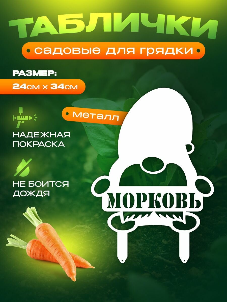 Табличка на грядку Гном садовод "Морковь"