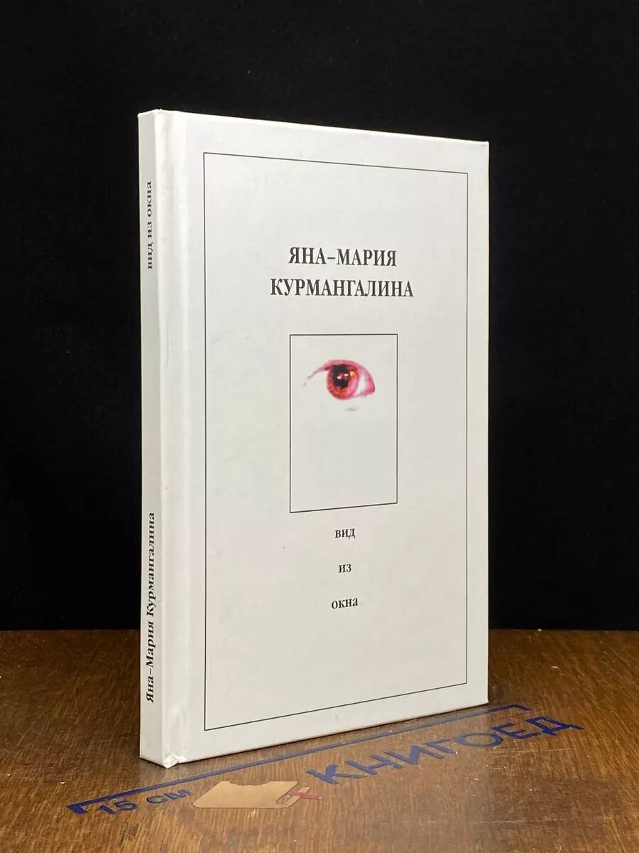 Книга. Вид из окна 2008 (2040758574529)