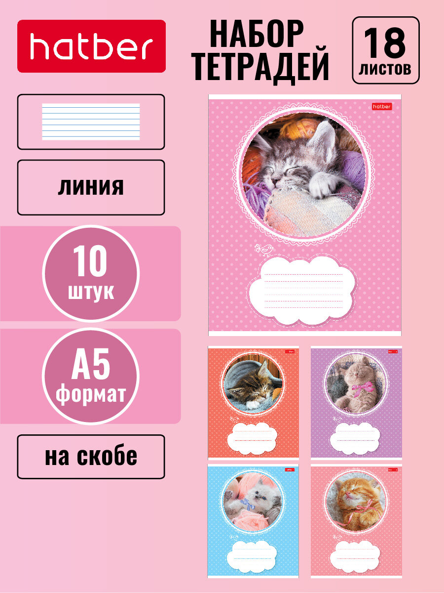 Набор тетрадей Hatber 10 штук / 5 дизайнов, 18 листов, формат А5, линия, на скобе, скругленные углы, серия -Котята-