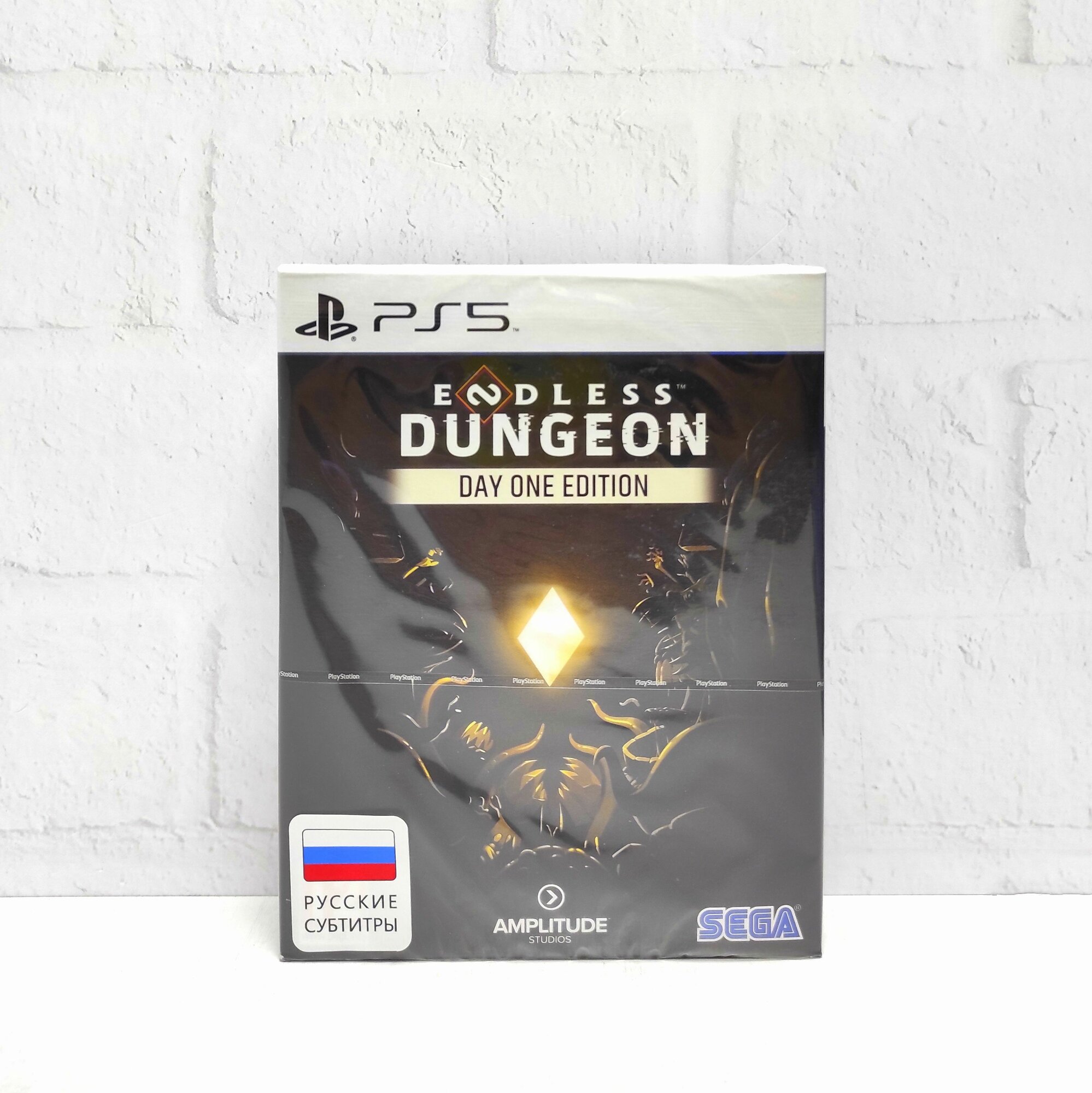 Endless Dungeon Day One Edition Русские субтитры PPSA 02665 Видеоигра на диске PS5