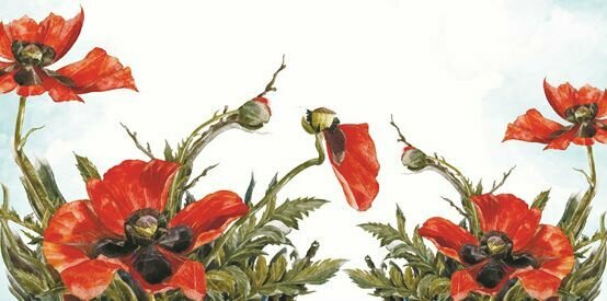 Цветные евро Е-65 конверты 10 штук Маки