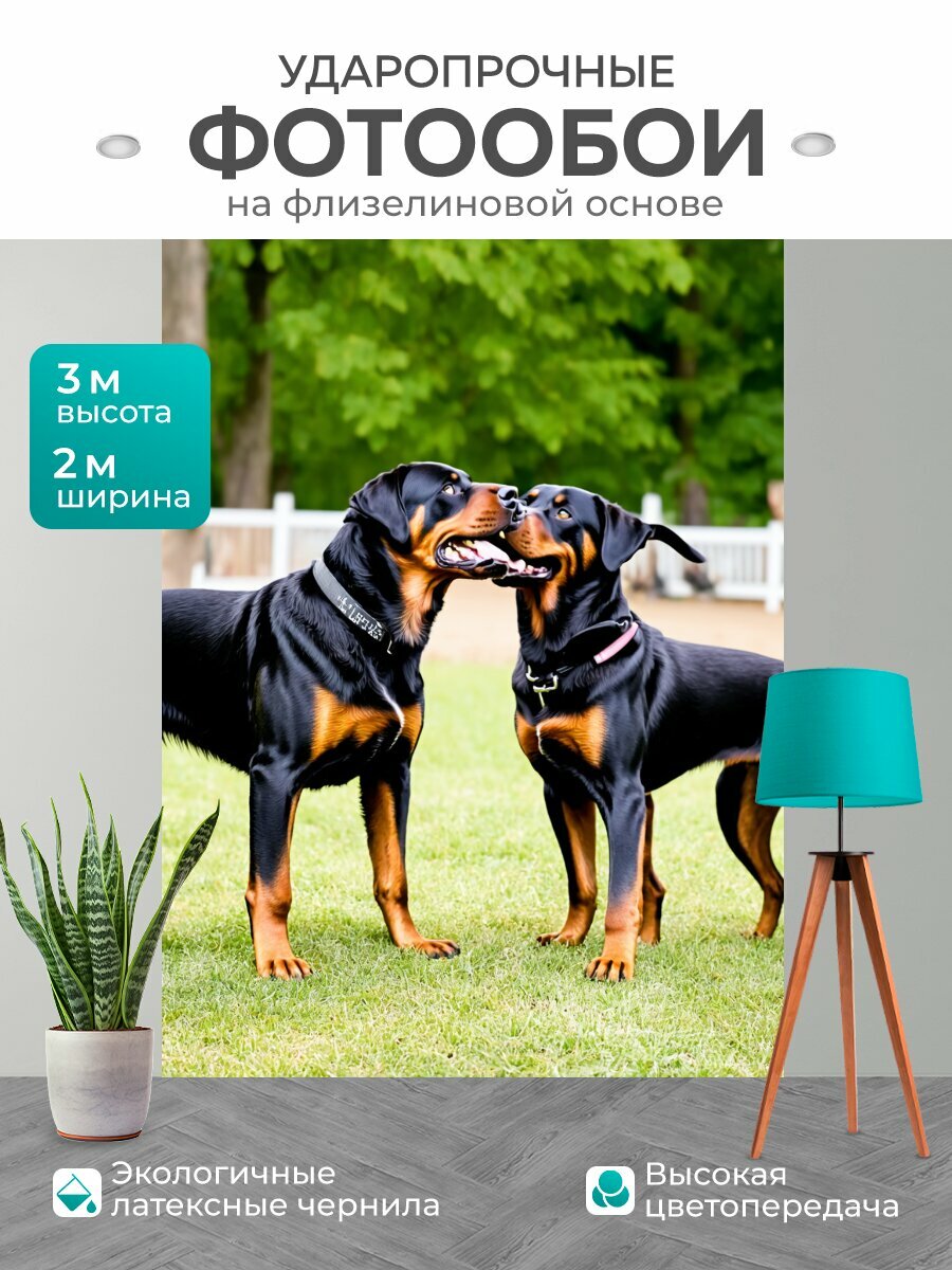 Фотообои моющиеся ударопрочные "Ротвейлер, играющий с другими собаками на собачьей площадке, вовлеченный в веселое взаимодействие" 200x300 см. флизелиновые на стену