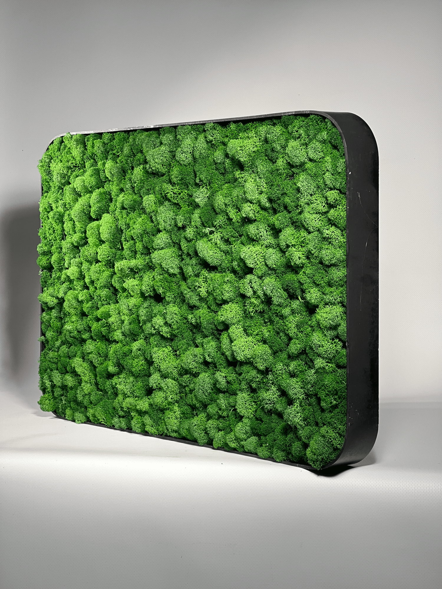 Картина «Минималистик», ручная работа, стабилизированный мох, 37x58 см