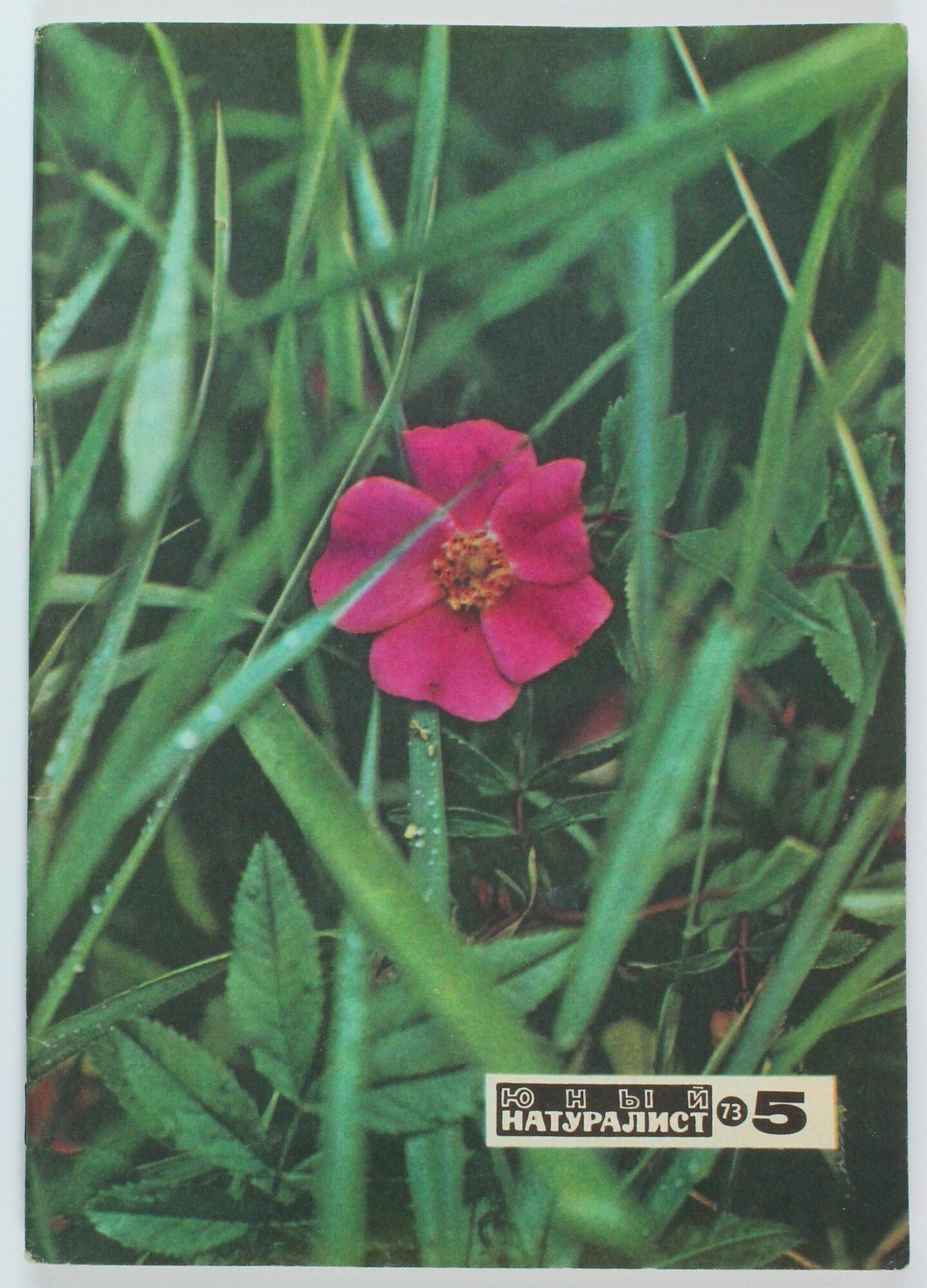 Винтажный журнал СССР Юный Натуралист, 1973 год