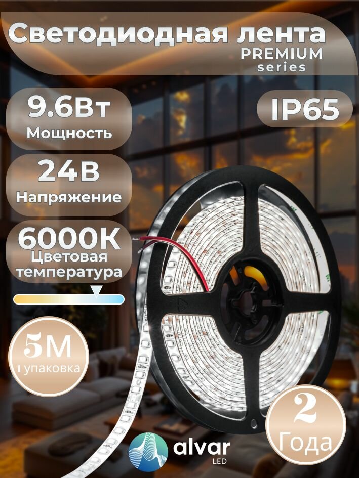 PREMIUM 24В 9.6Вт 6000К холодная, IP65, 2835 120 LED светодиодная лента (в упаковке 5 метров)