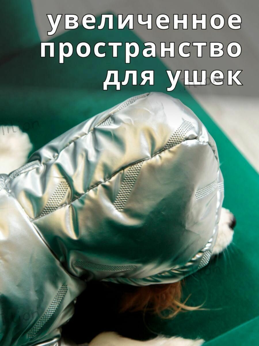 Одежда для животных — фото 1
