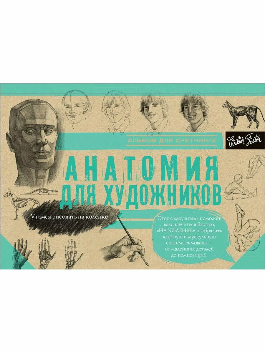 Анатомия для художников