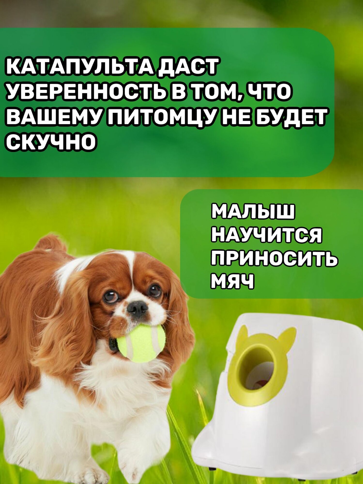 Катапульта мячей для собак — фото 1