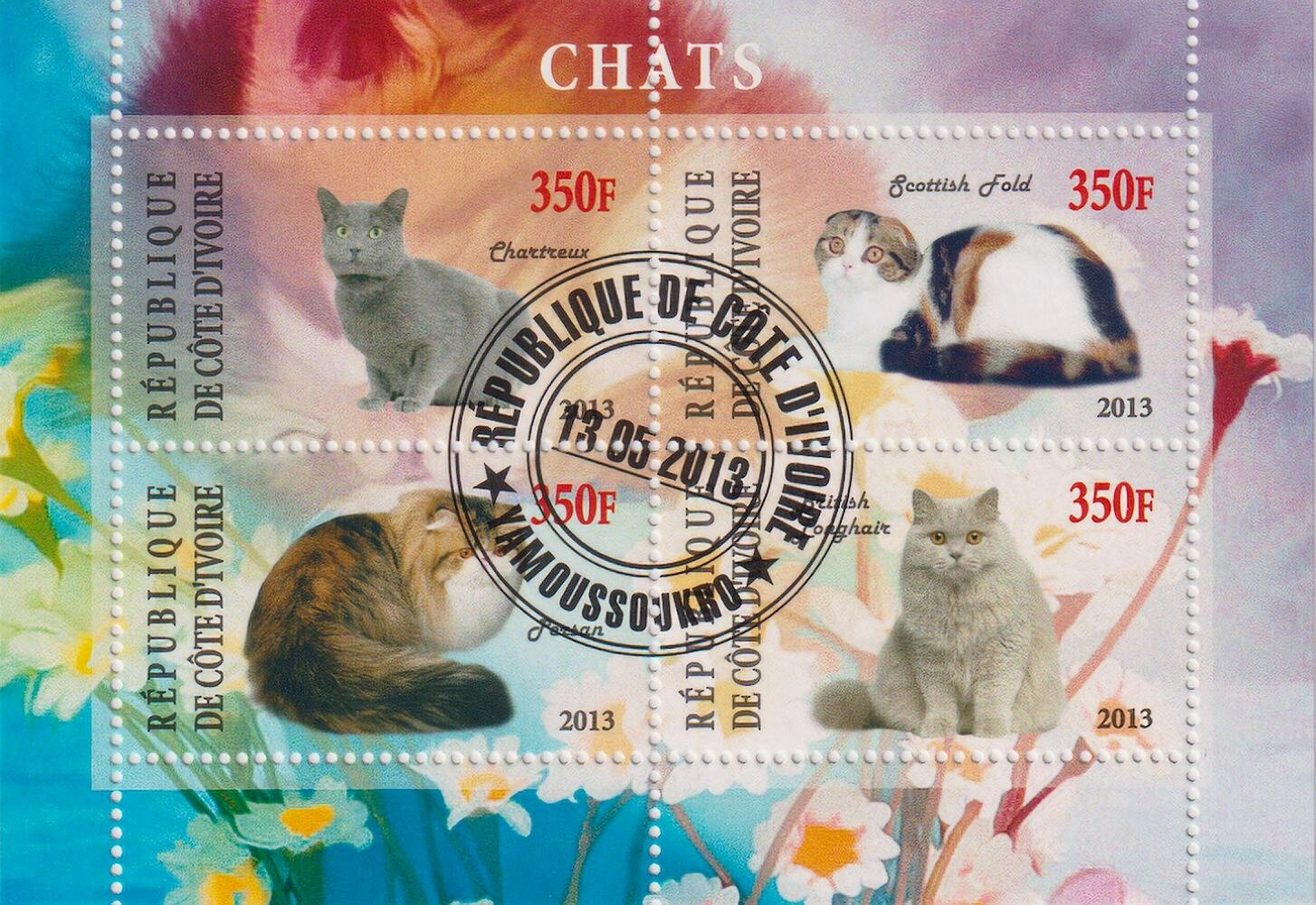 Почтовые марки Кот-д Ивуар 2013г. "Кошки" Домашние кошки U