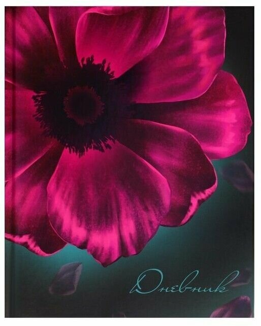 Ywy. горячиеДневник школьный