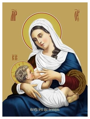 Освященная икона на дереве ручной работы - Кормящая икона божьей матери, 9x12x3 см, арт Ид3523