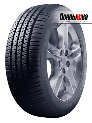 Шины всесезонные Michelin Pilot Sport A/S 3 315/35 R20 110V для коммерческого транспорта