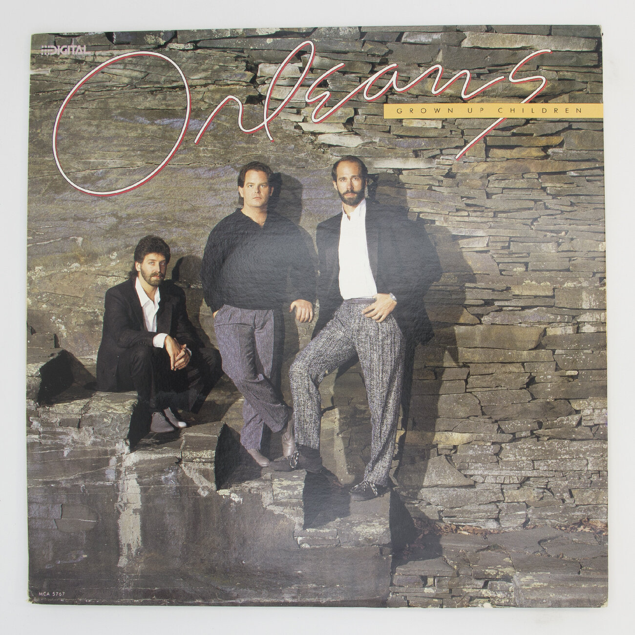 Виниловая пластинка Orleans - Grown Up Children, 1xLP, NM