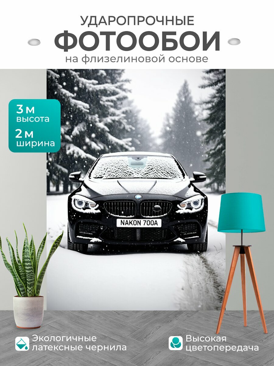 Фотообои моющиеся ударопрочные "Машина в стиле черно-белый с зимним пейзажем и автомобилем на фоне снегопада" 200x300 см. флизелиновые на стену