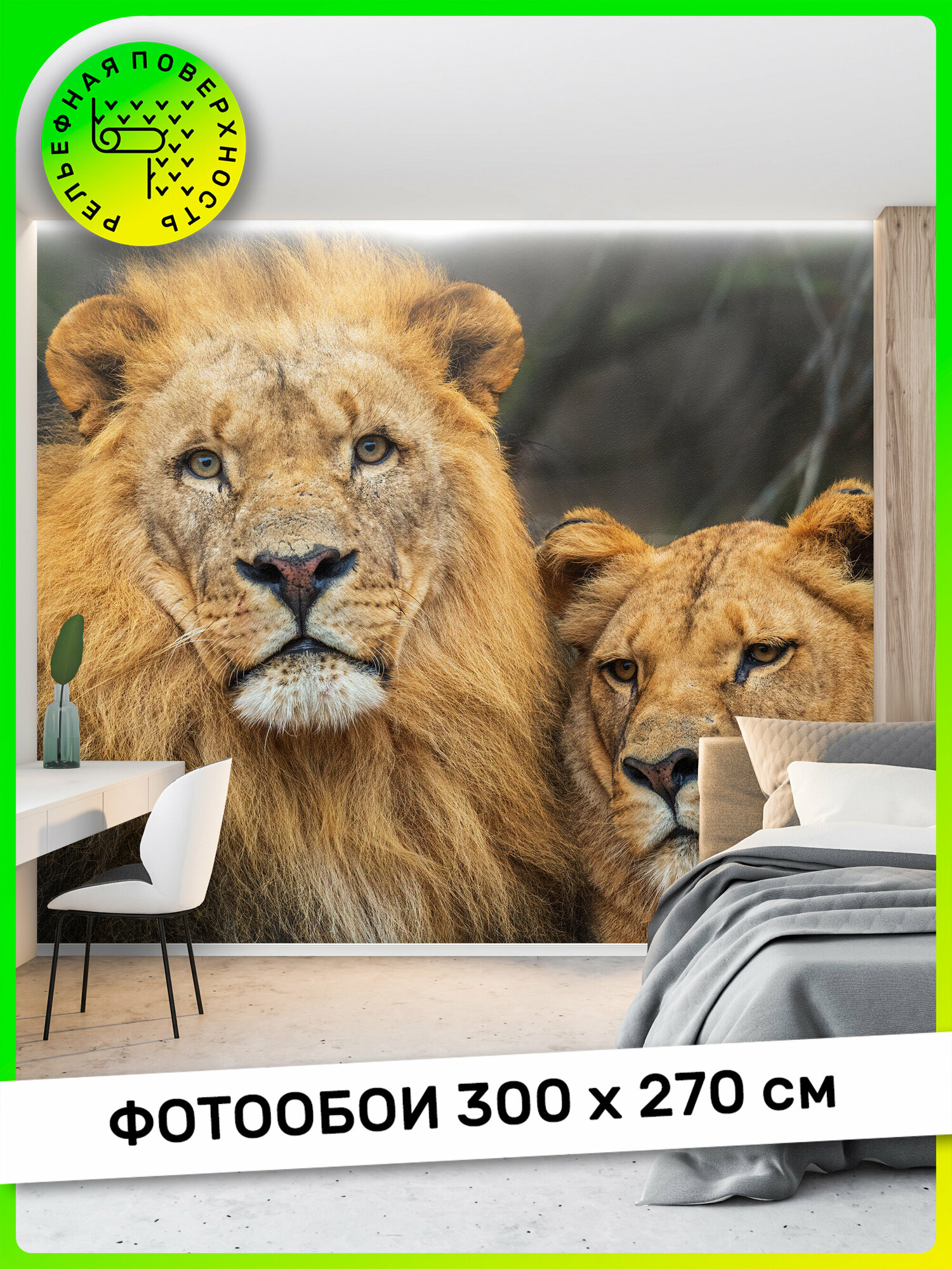 Фотообои, обои Лев, Животные на стену, в зал, гостиную, спальню, на кухню, 300 см x 270 см