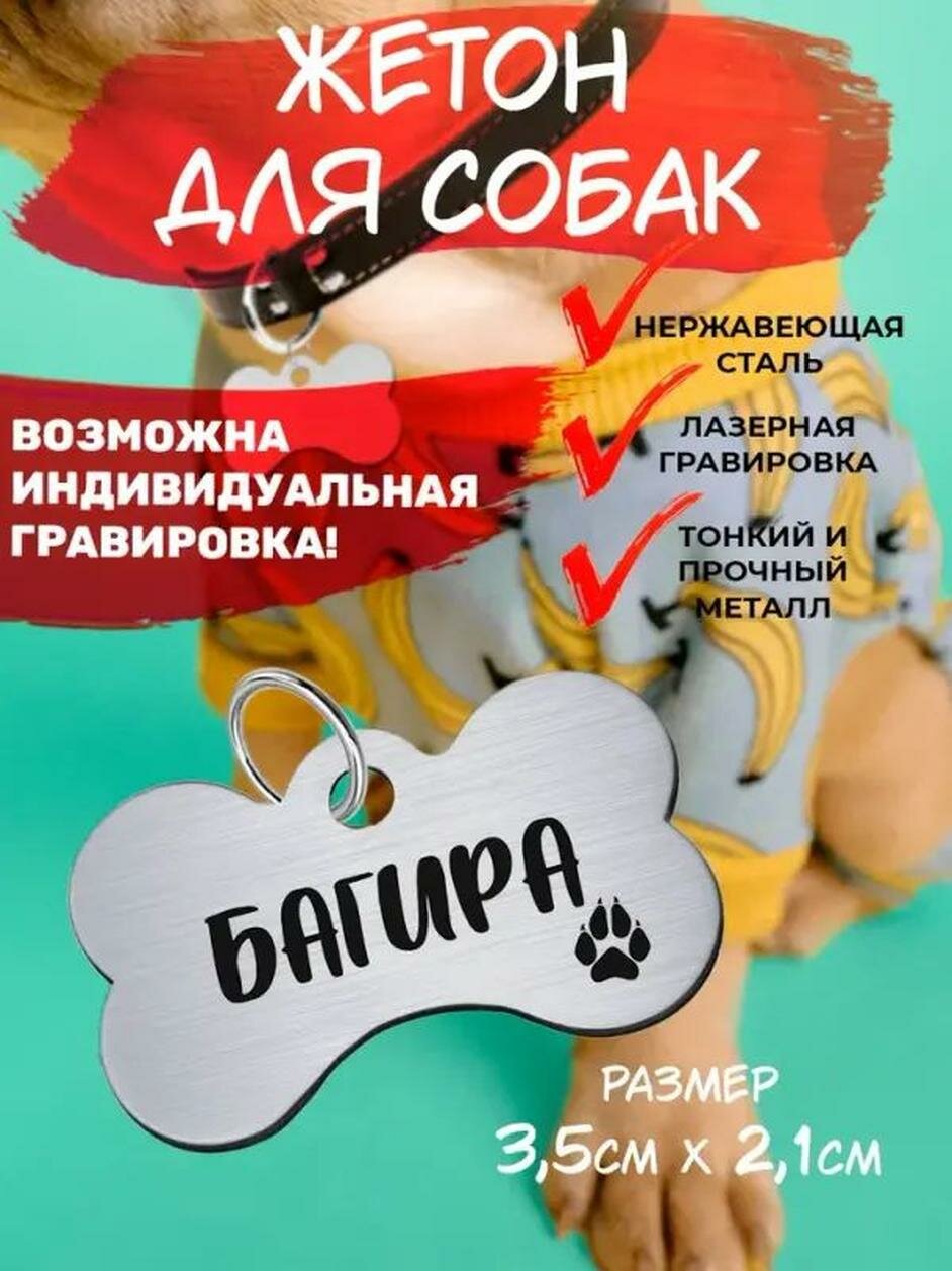 Адресник для собаки с гравировкой, нерж. сталь, серебристый, Багира