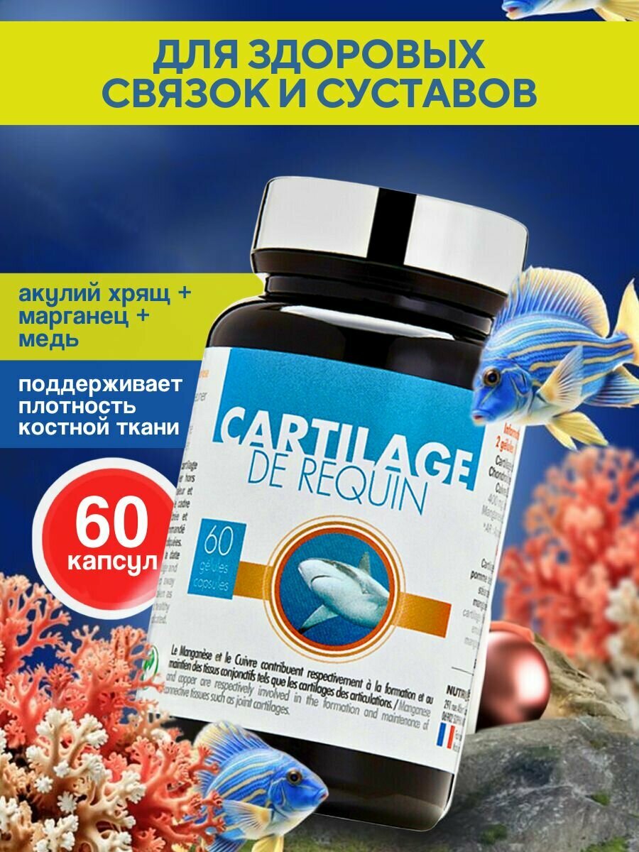 NUTRIEXPERT CARTILAGE капсулы для хрящей и суставов с хондроитином