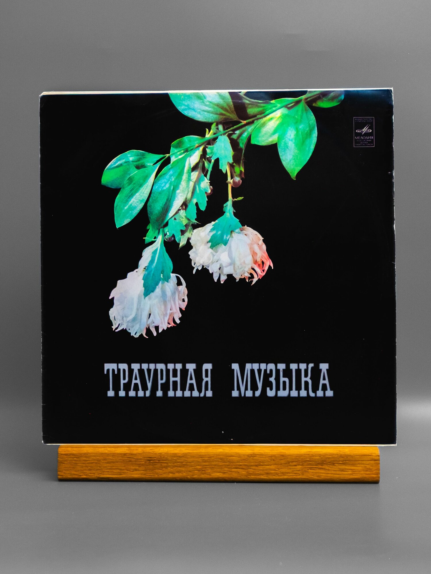 Траурная музыка (Шопен, Дворжак и другие) / виниловая пластинка LP NM