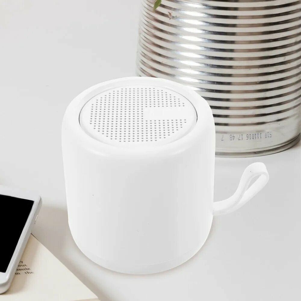 Перезаряжаемая портативная колонка с мощным звуком, белая, для домашнего применения