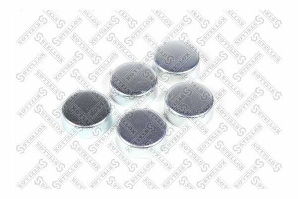 Крышка направляющей суппорта (м) для BPW 8547001SX STELLOX