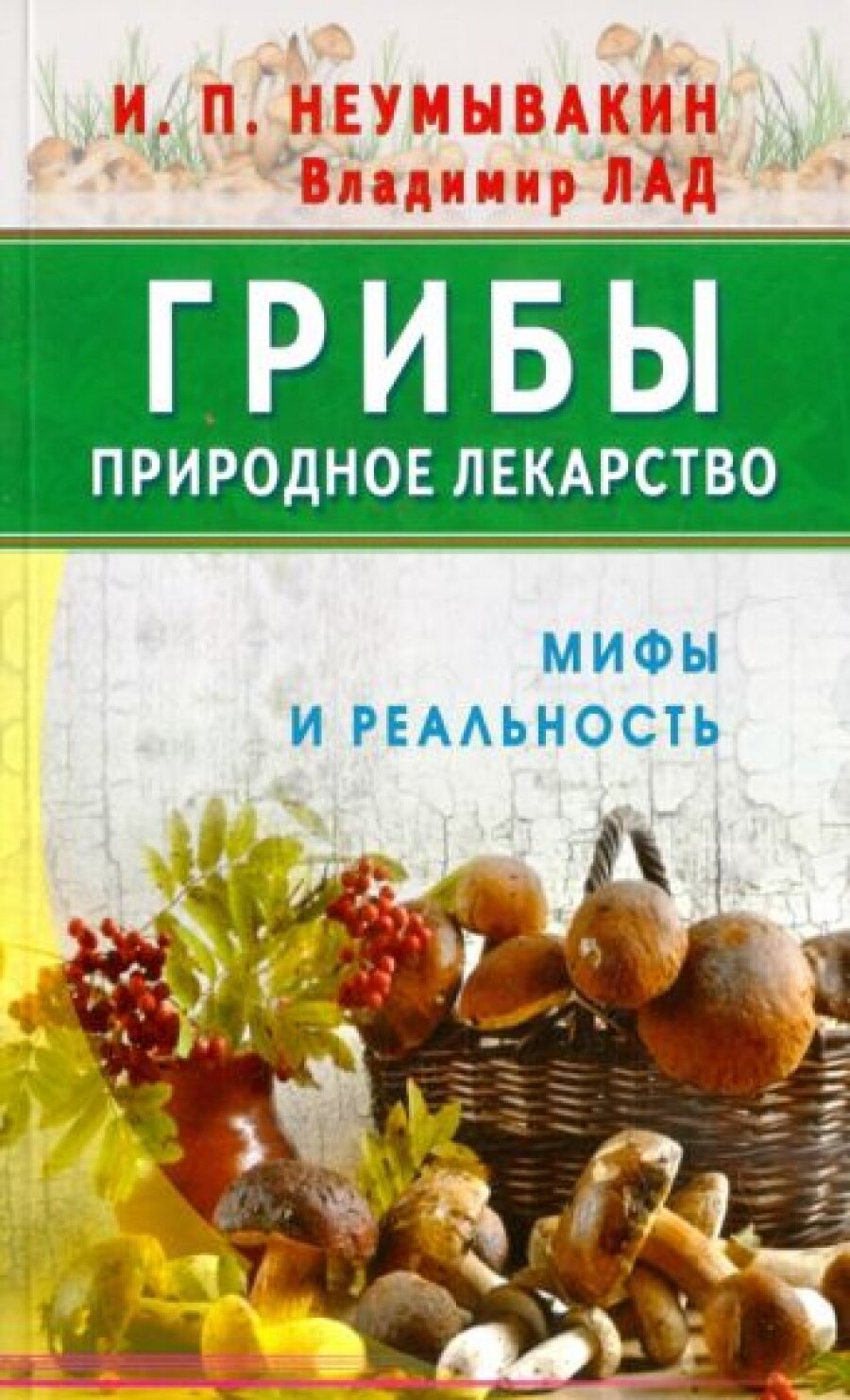 Грибы - природное лекарство