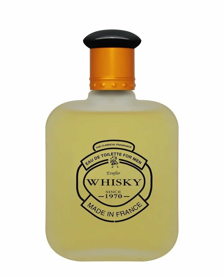Туалетная вода Evaflor "Whisky Homme", восточная, мужская, 100мл