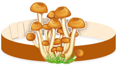 Маска-ободок Творческий Центр Сфера "Опята" МА-12073, для мужчин и женщин, 16x20 см
